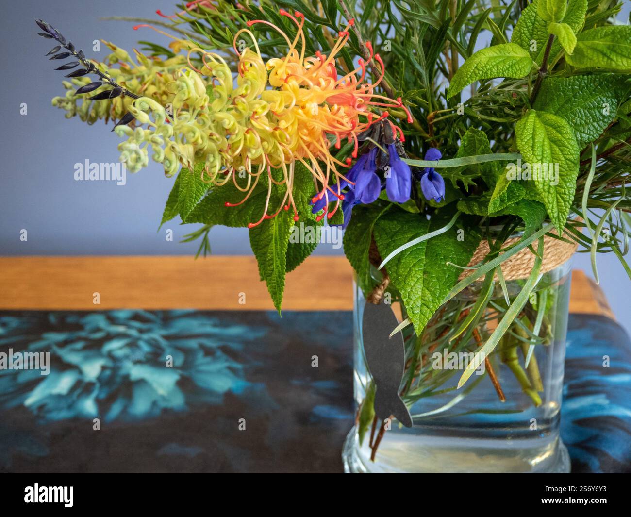 Closeup bunch of Australian Native orange and yellow Grevillea flowers ...