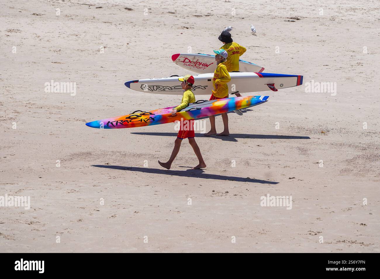 Adelaide, Australia 18 January 2025 . Beachgoers carry their surfboard ...