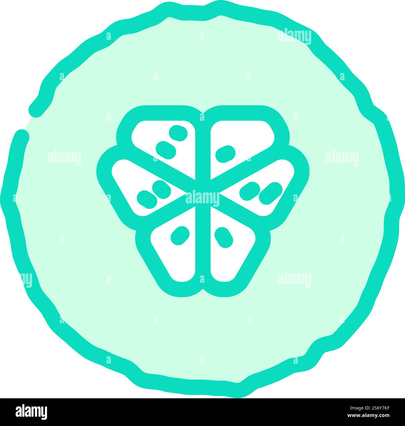 cut cucumber color icon vector. cut cucumber sign. isolated symbol ...