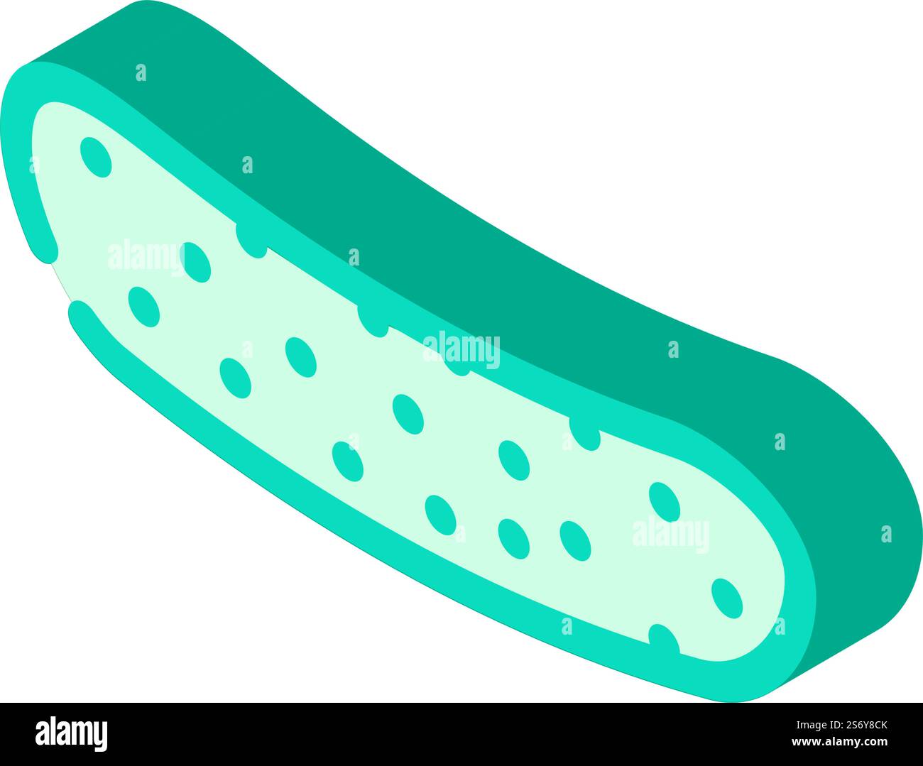 cucumber with pimples isometric icon vector. cucumber with pimples sign ...