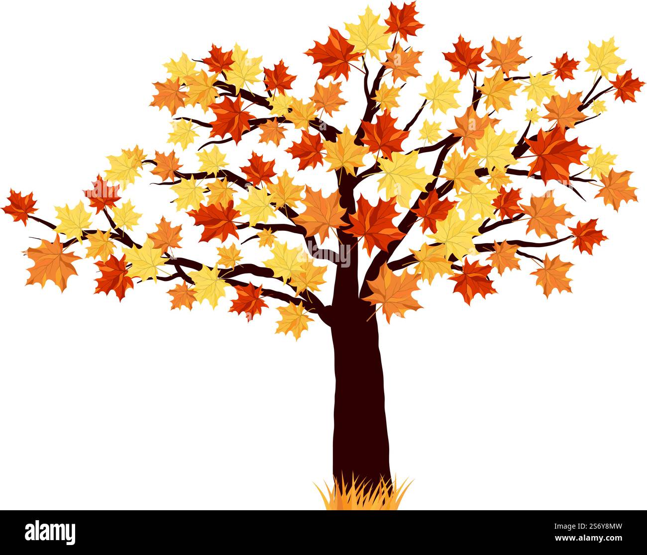 Autumn Maple Tree With Falling Leaves on White Background. Elegant ...