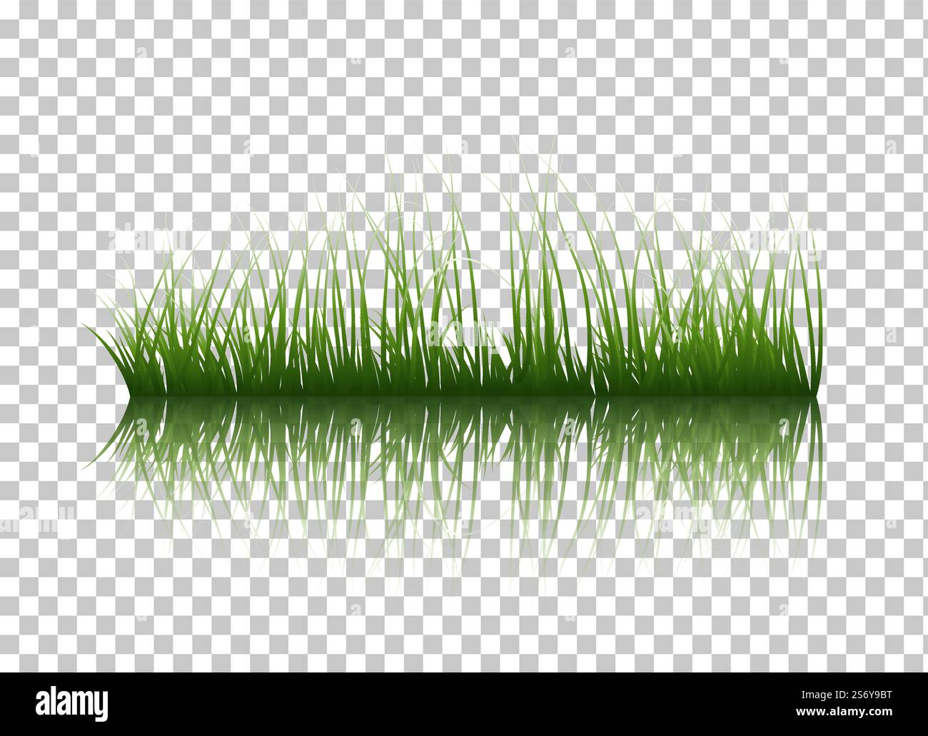 Grass Silhouettes Color Background With Transparent Reflection In Water ...