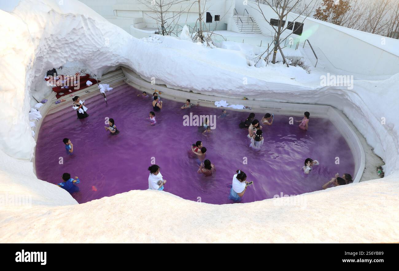 Shenyang, China's Liaoning Province. 17th Jan, 2025. Visitors enjoy ...