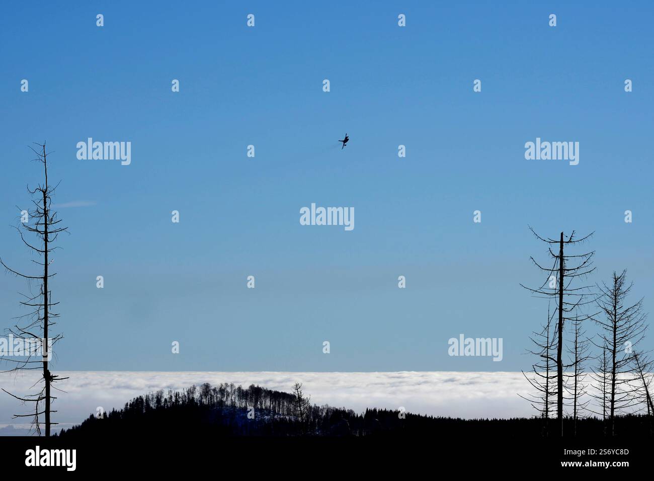 A German army Bundeswehr Tornado jet passes trees, damaged by bark ...