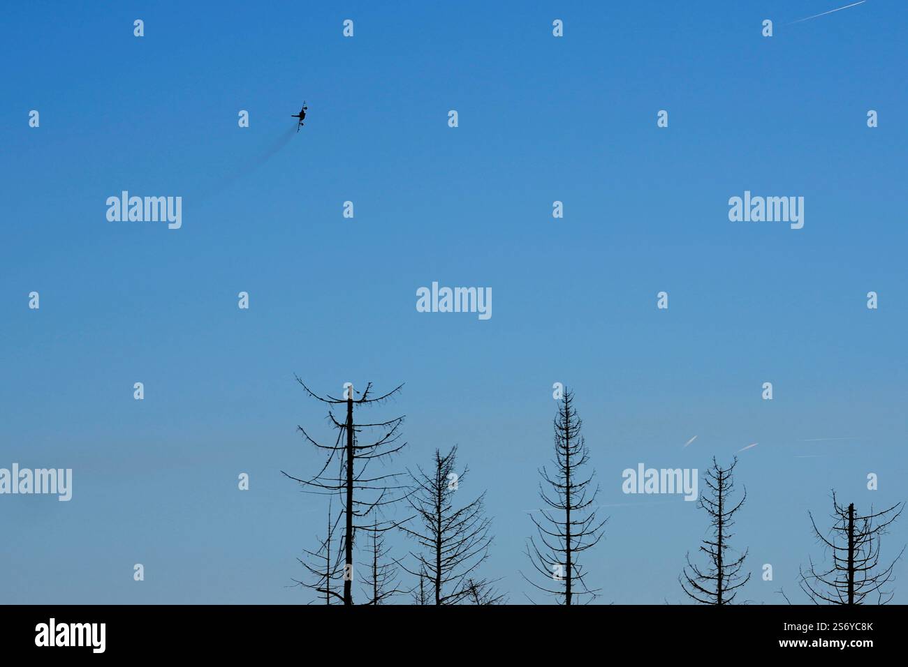 A German army Bundeswehr Tornado jet passes trees, damaged by bark ...