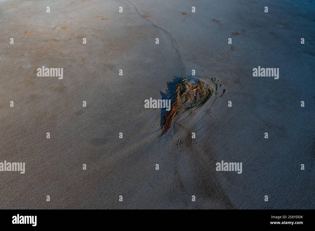 Calming neutral colors hi-res stock photography and images - Alamy