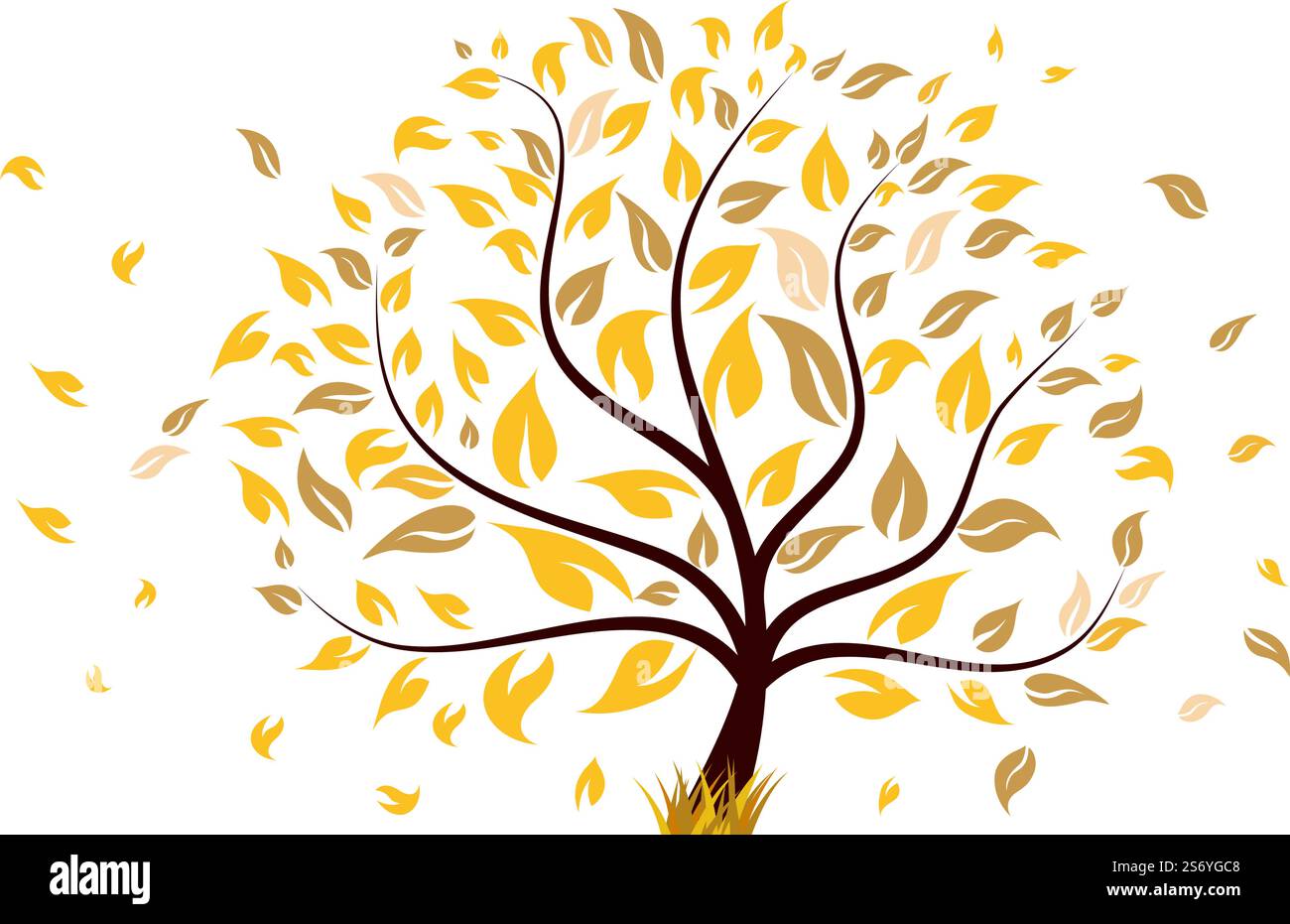 Autumn Maple Tree With Falling Leaves on White Background. Elegant ...