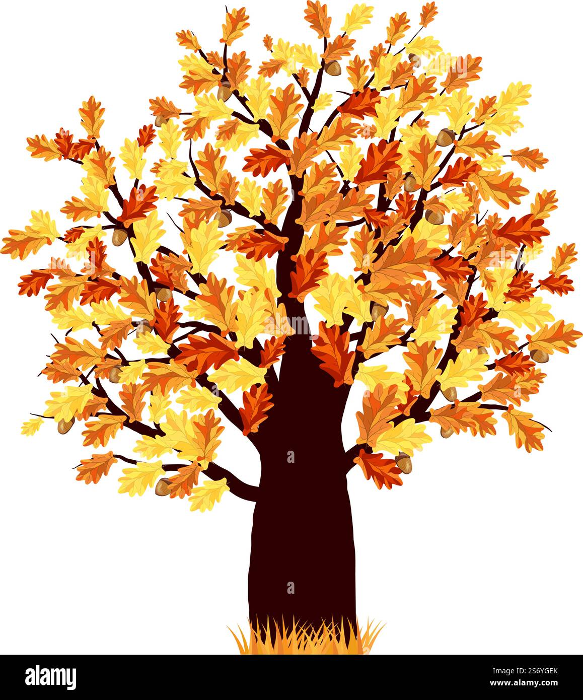 Autumn Maple Tree With Falling Leaves on White Background. Elegant ...