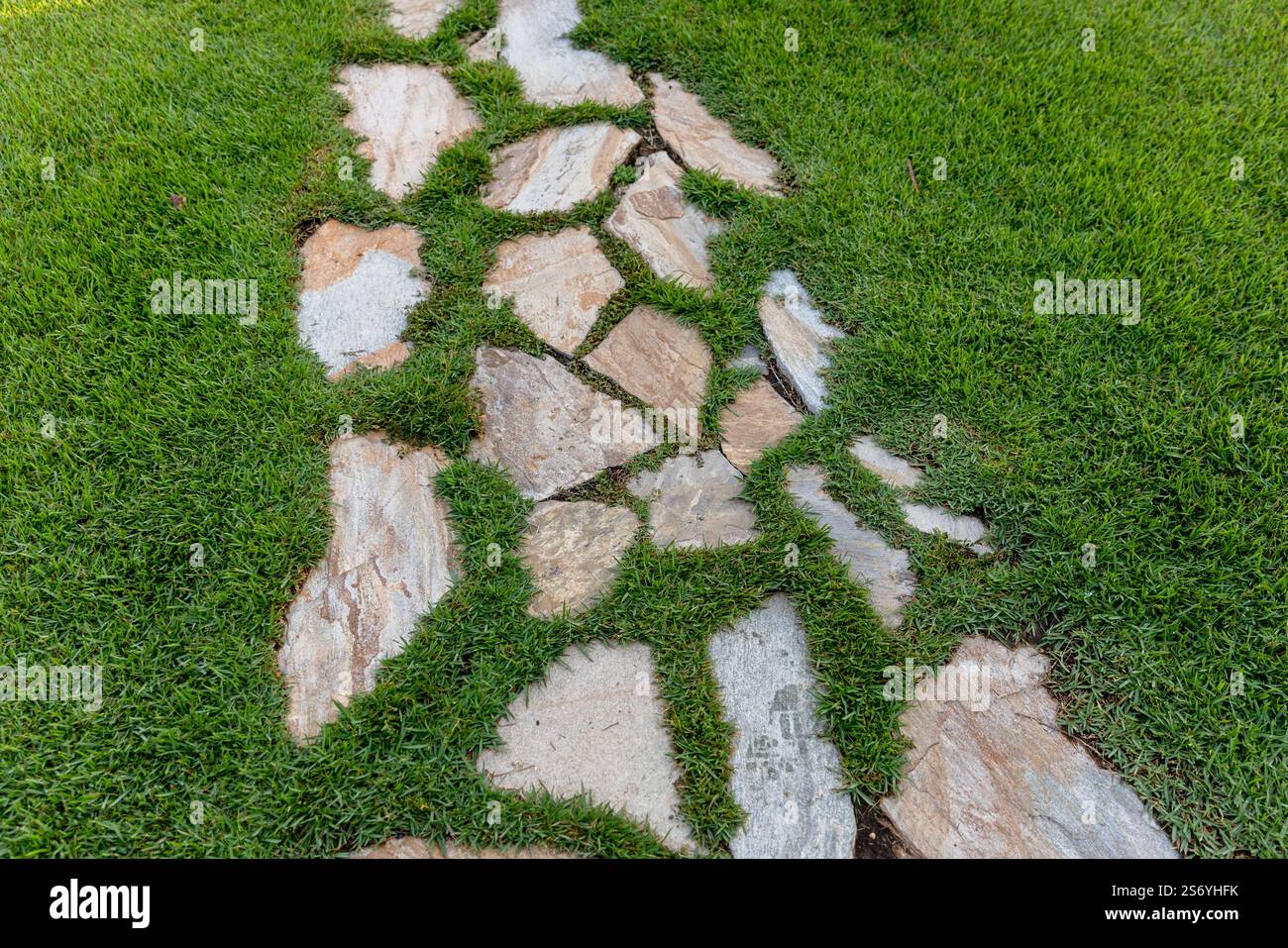 Park lane made of flat stones laying in green lawn grass. Decorative road pavement, close up ...