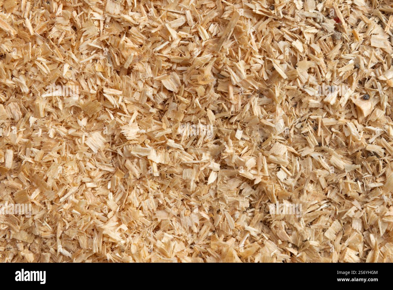 Chain saw sawdust from is on the ground, background photo texture Stock ...