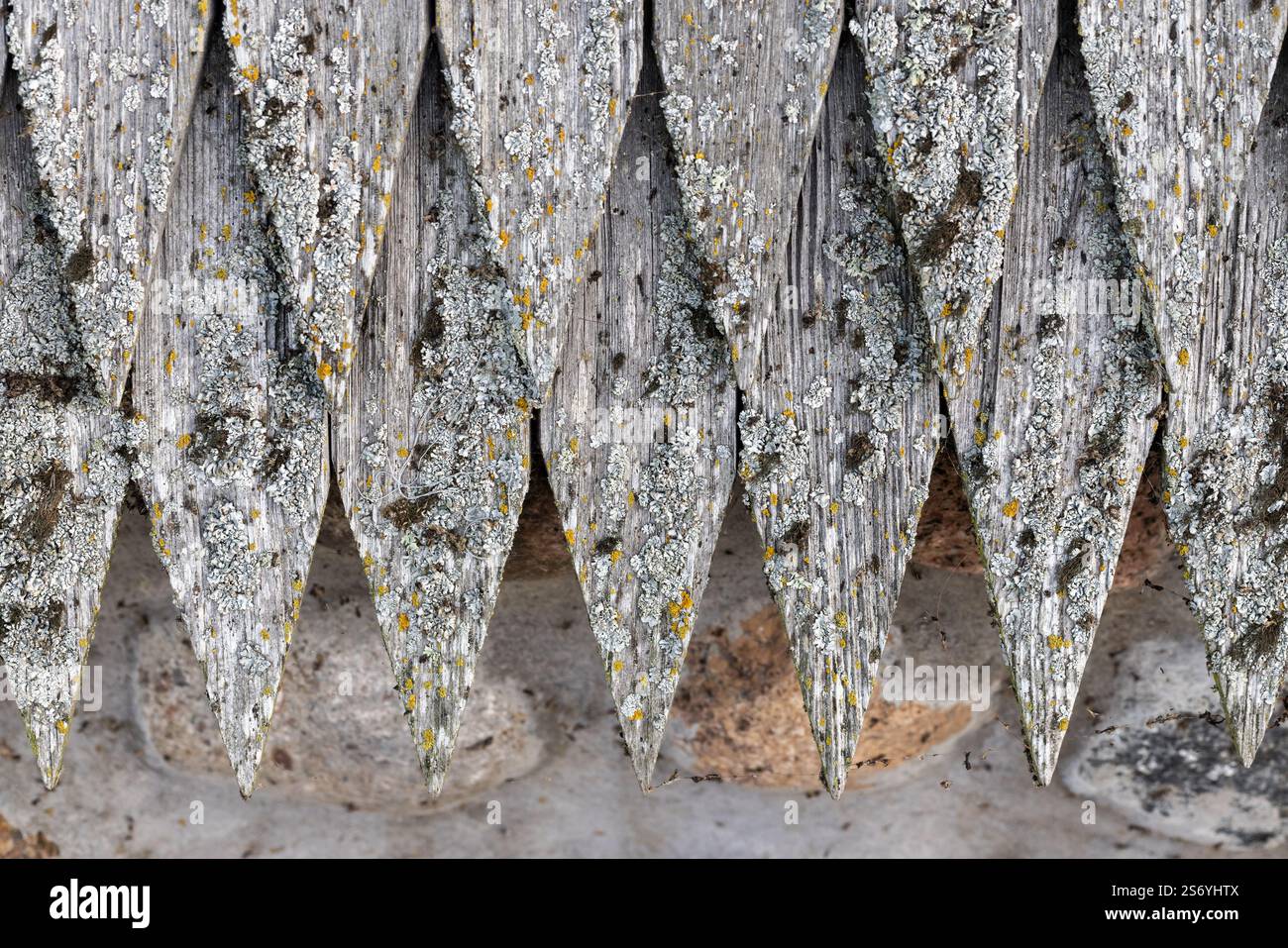 Details of weathered wooden roof, uncolored gray planks with lichen on ...