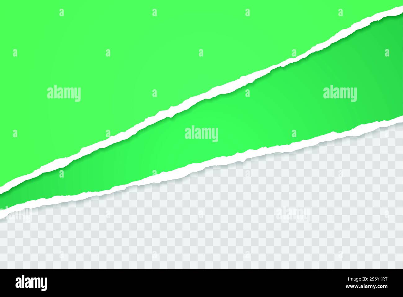 ripped green torn papers on transparent background Stock Vector Image ...