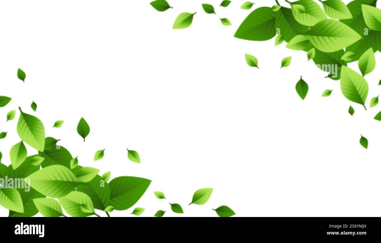 green leaves scattered background design Stock Vector Image & Art - Alamy
