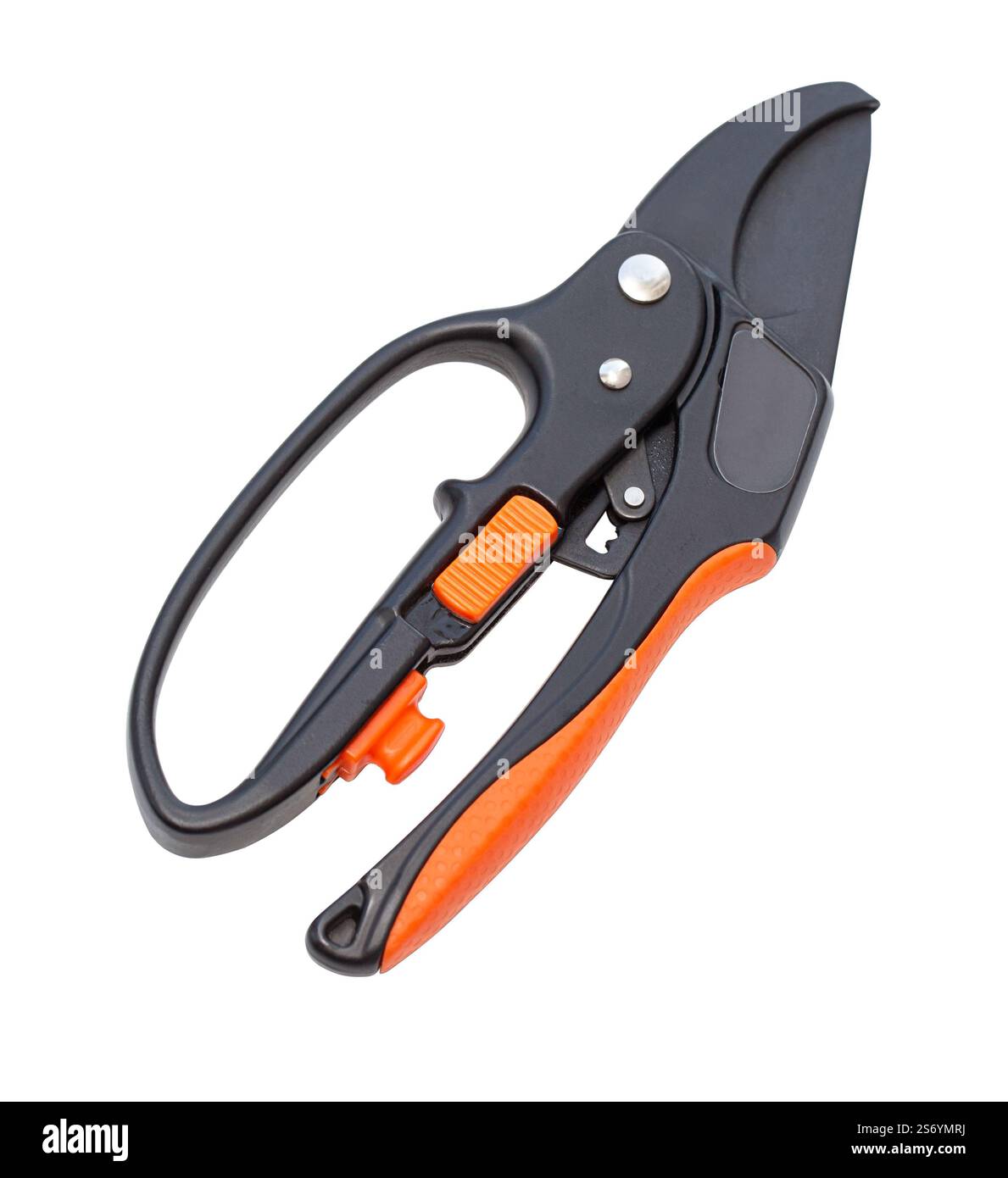 garden shears isolated on white background cut out Stock Photo - Alamy