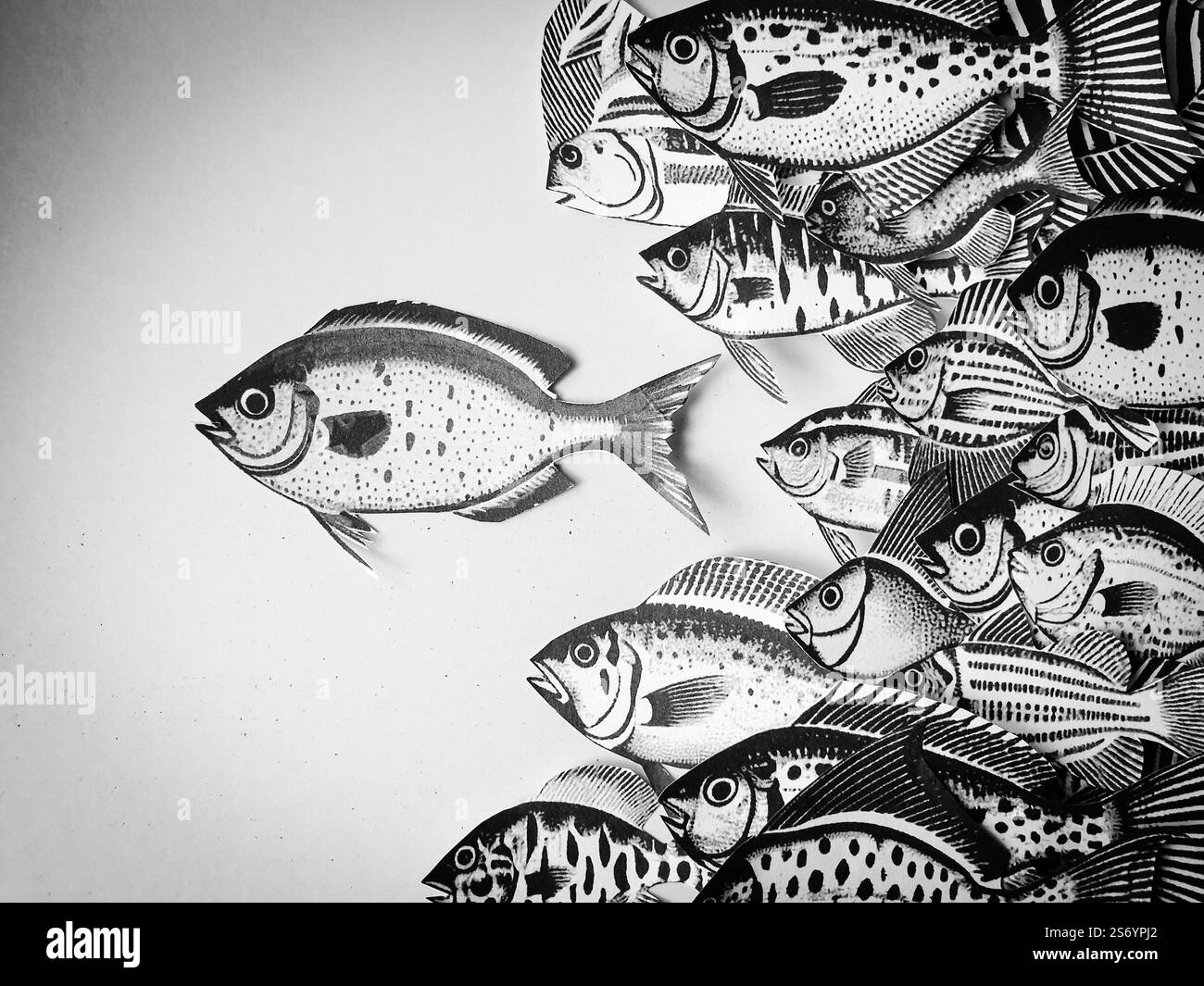 Conceptual collage art of a fish being followed by many other fish ...