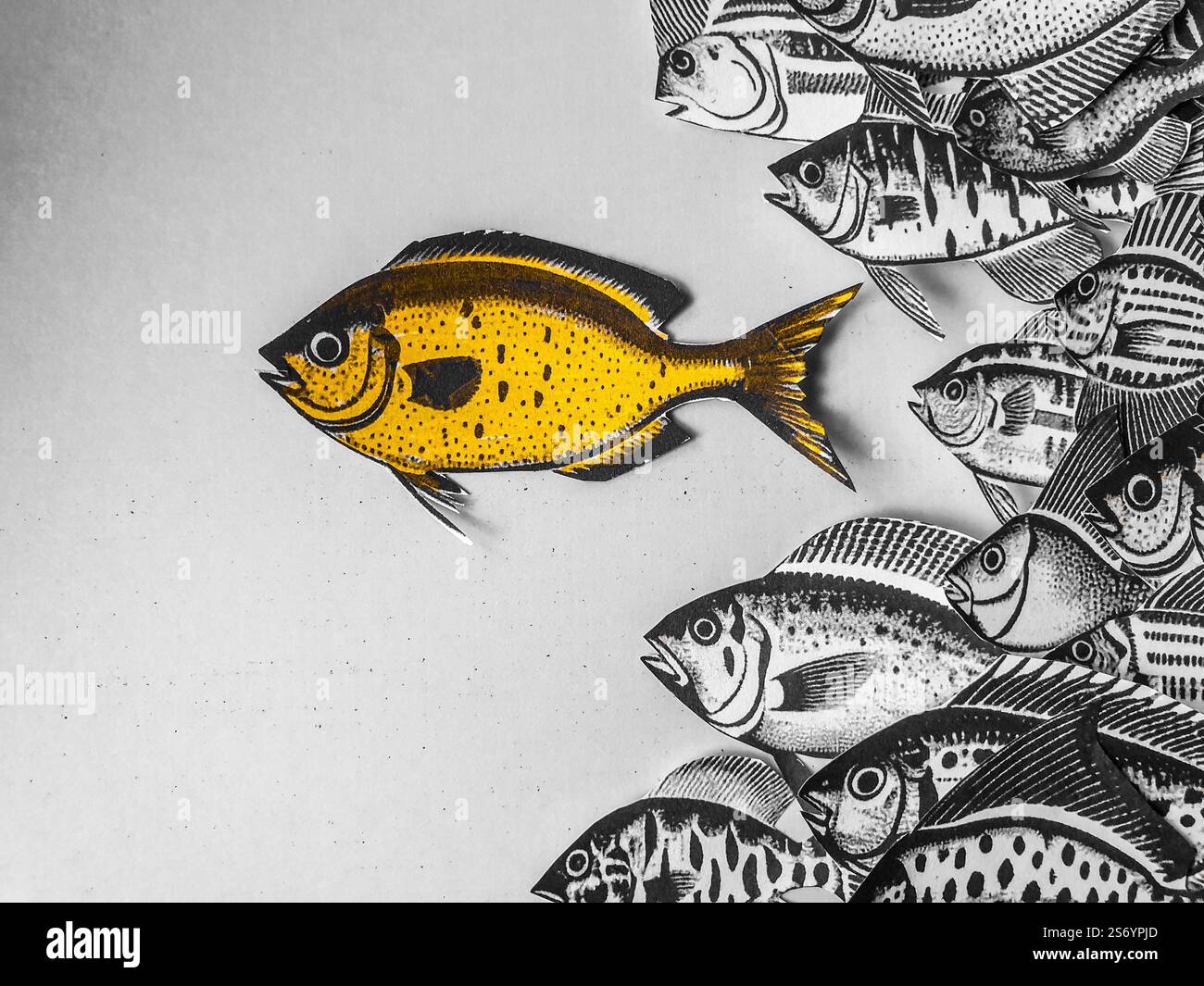 Conceptual collage art of a fish being followed by many other fish ...