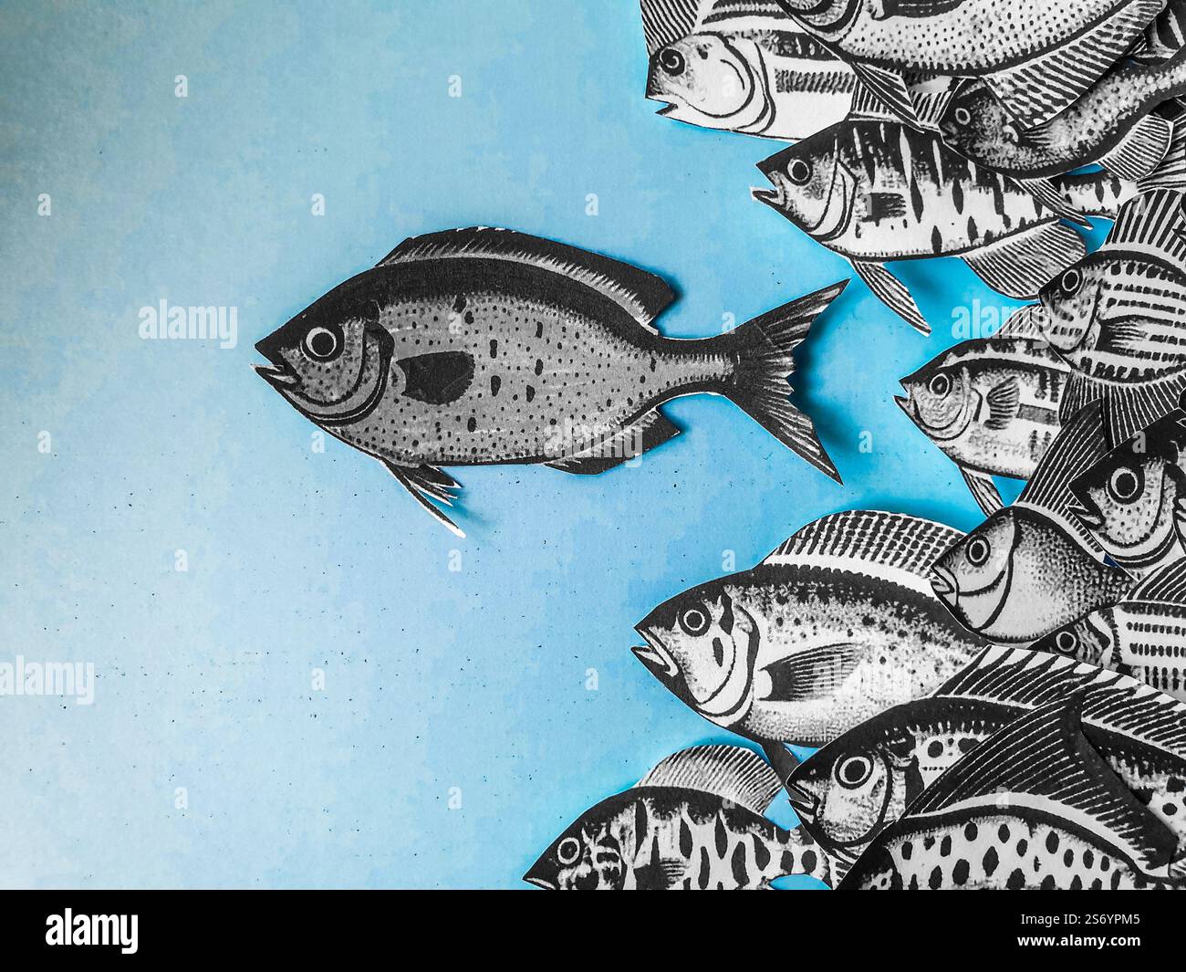 Conceptual collage art of a fish being followed by many other fish ...