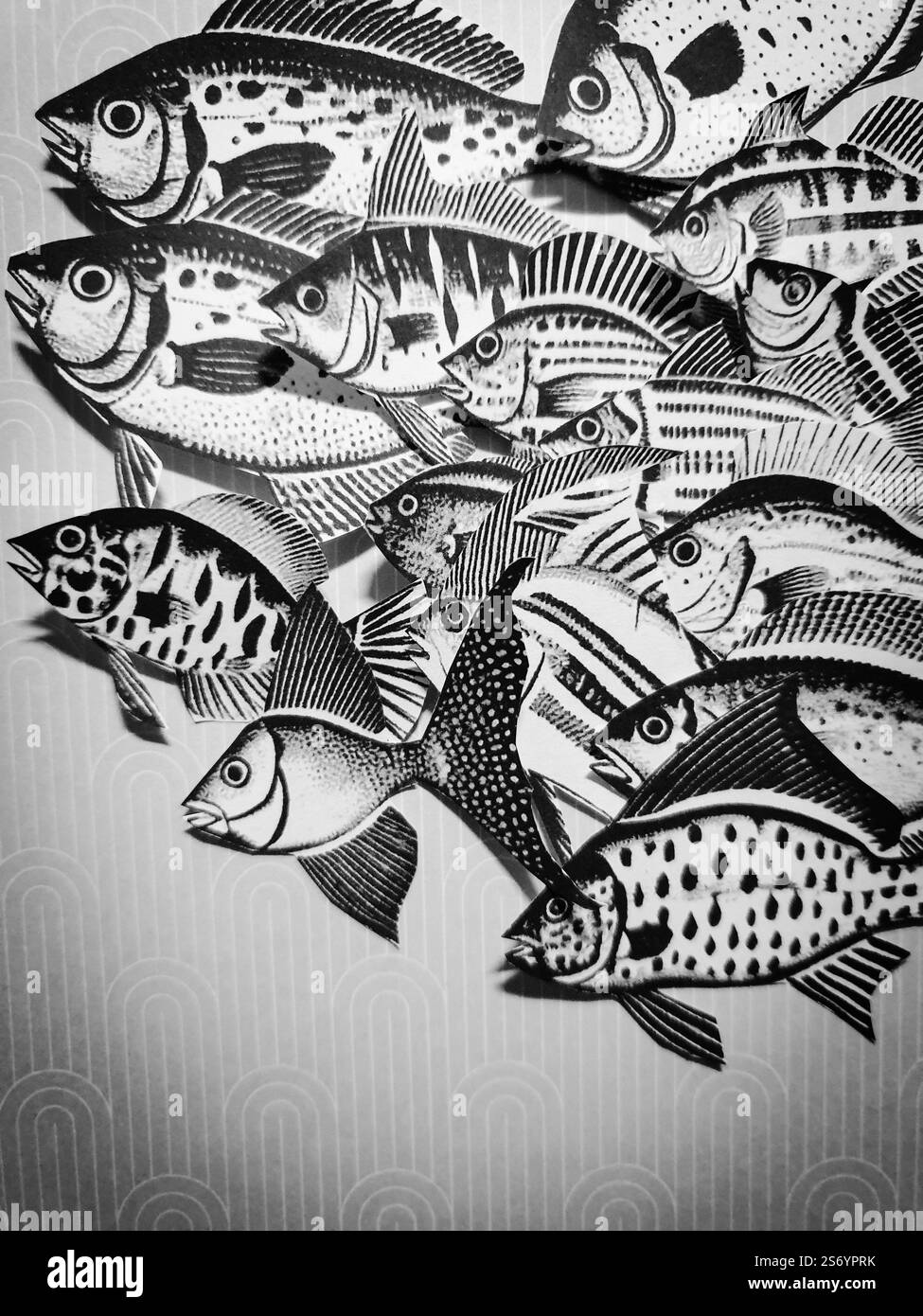 Surrealism team Black and White Stock Photos & Images - Alamy