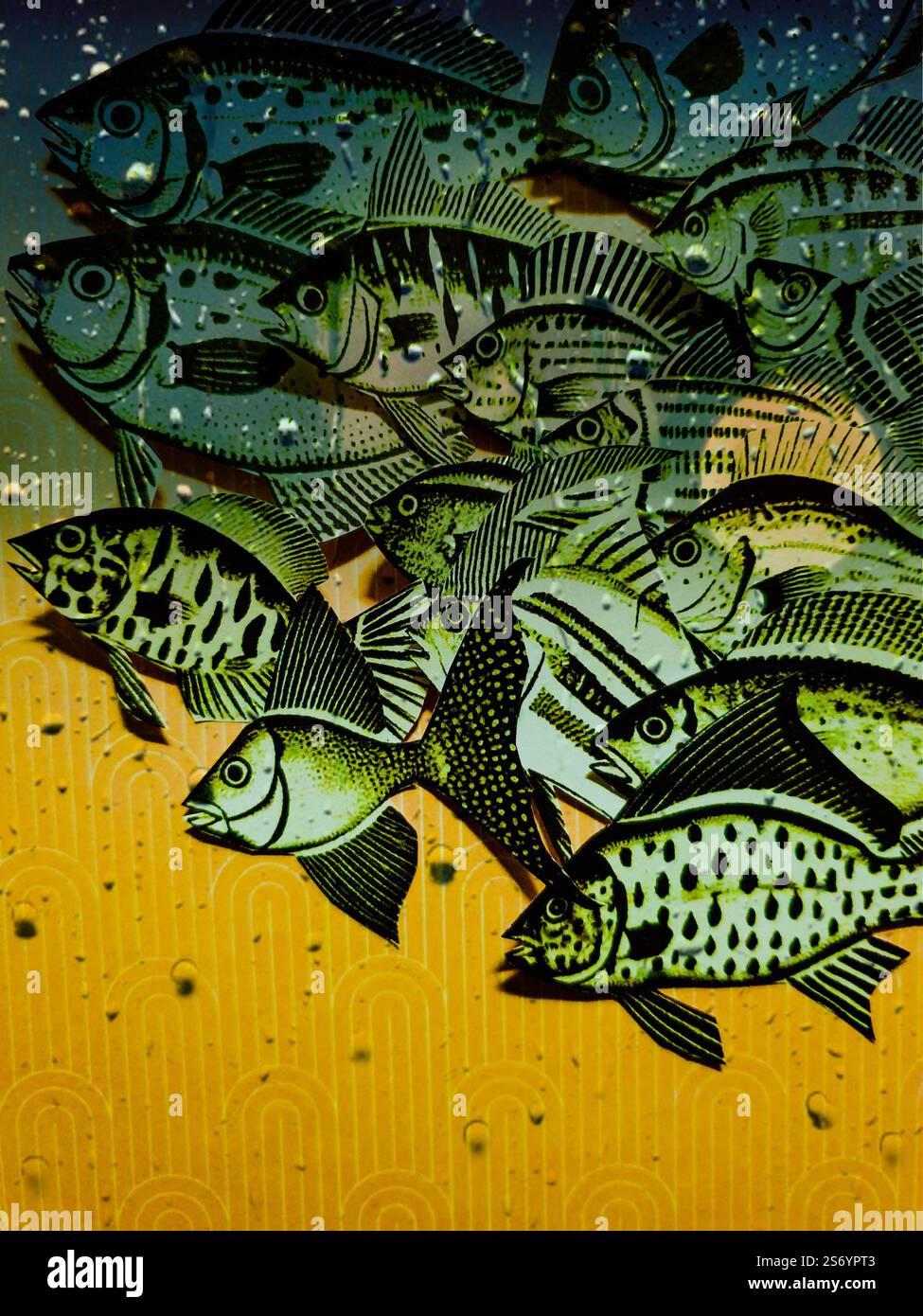 Fish shoal a hi-res stock photography and images - Alamy