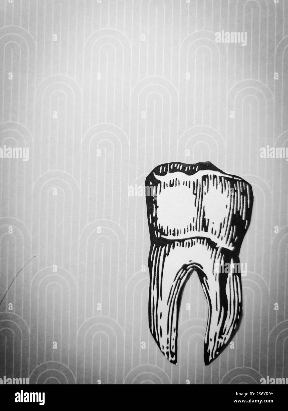 Conceptual collage art of a single tooth Stock Photo - Alamy