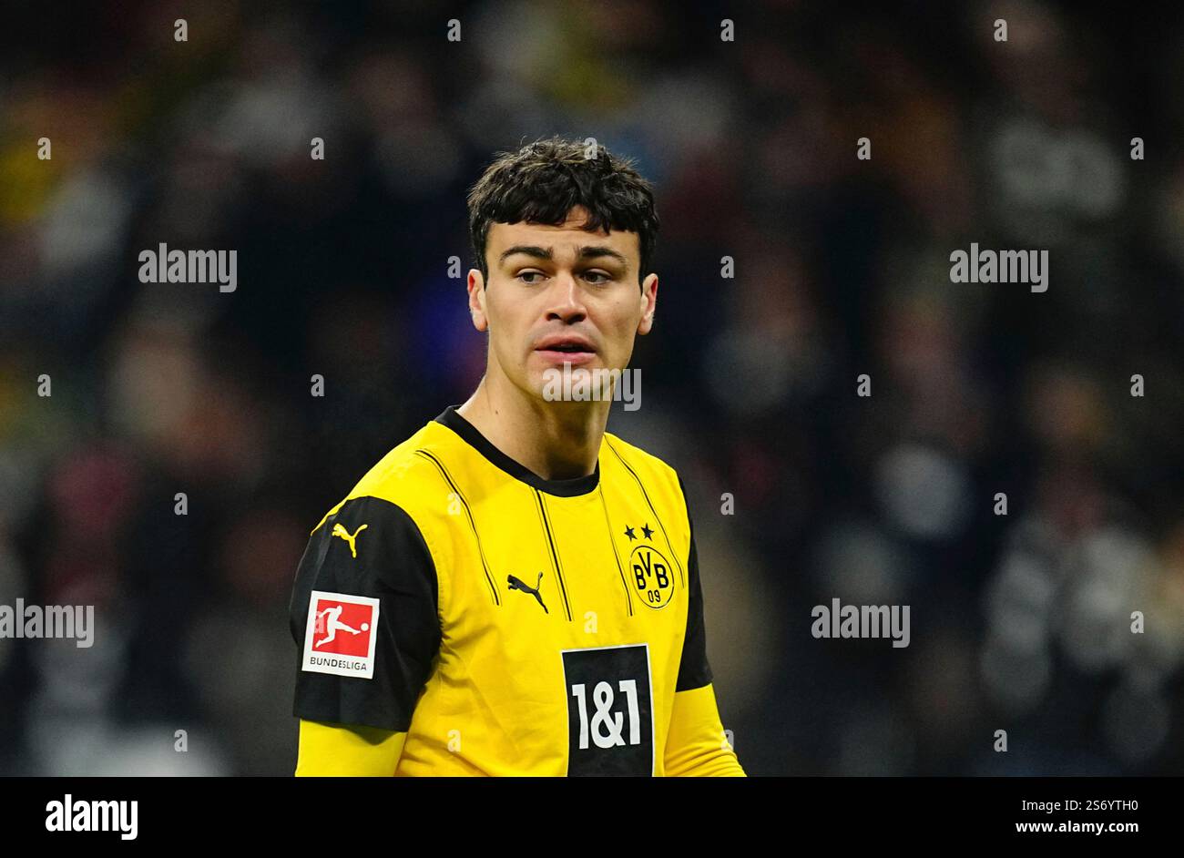 January 17 2025: Giovanni Reyna of Borussia Dortmund looks on during a ...