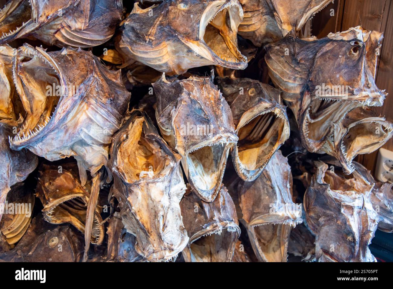 Dried Cod Heads in Lofoten - Norway Stock Photo - Alamy