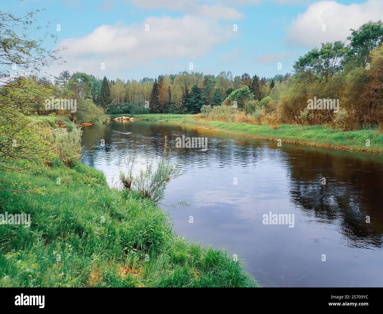 Exploring the Remote Beauty of the Upper Volga River in Russia Stock ...