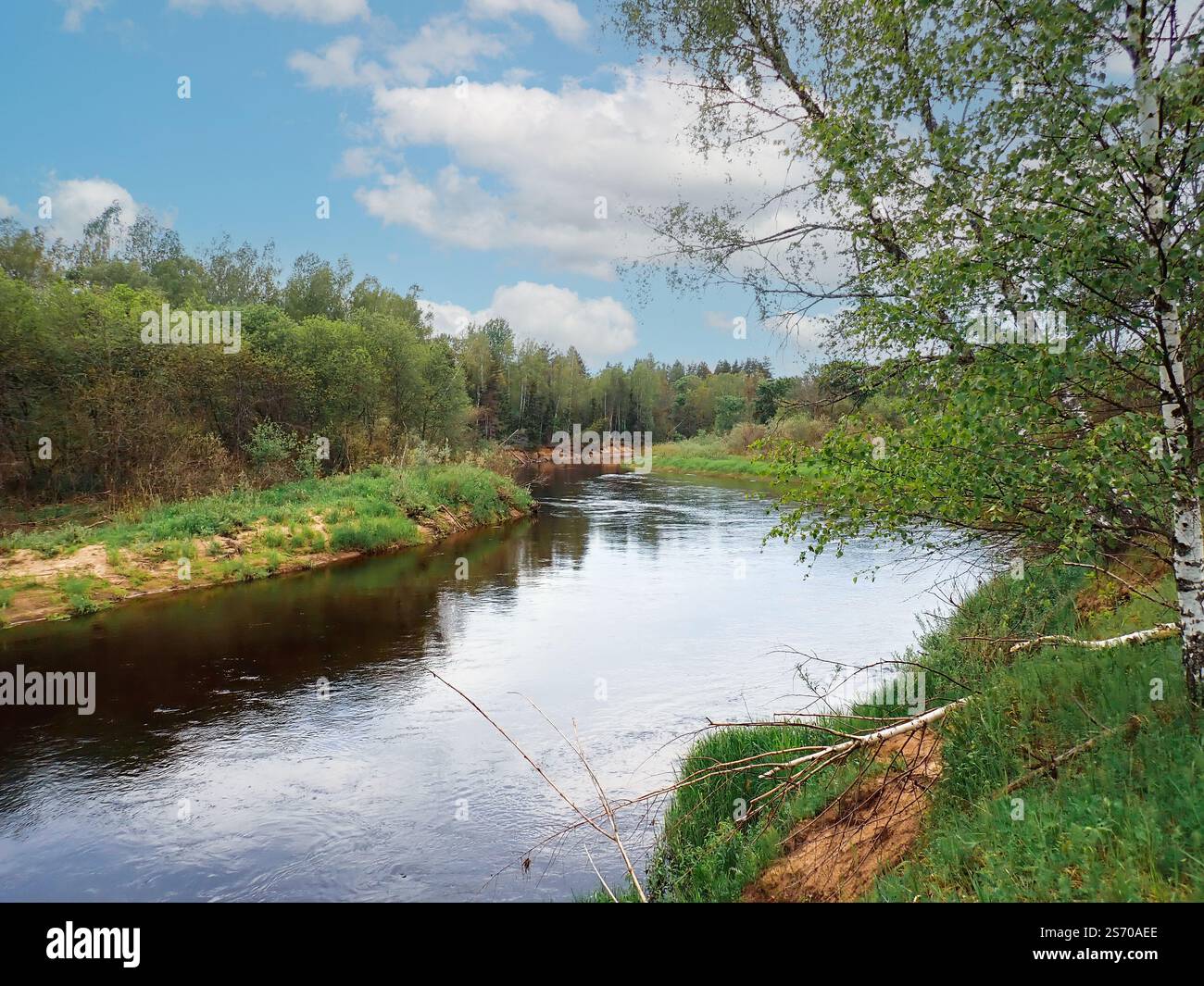 Exploring the Remote Beauty of the Upper Volga River in Russia Stock ...