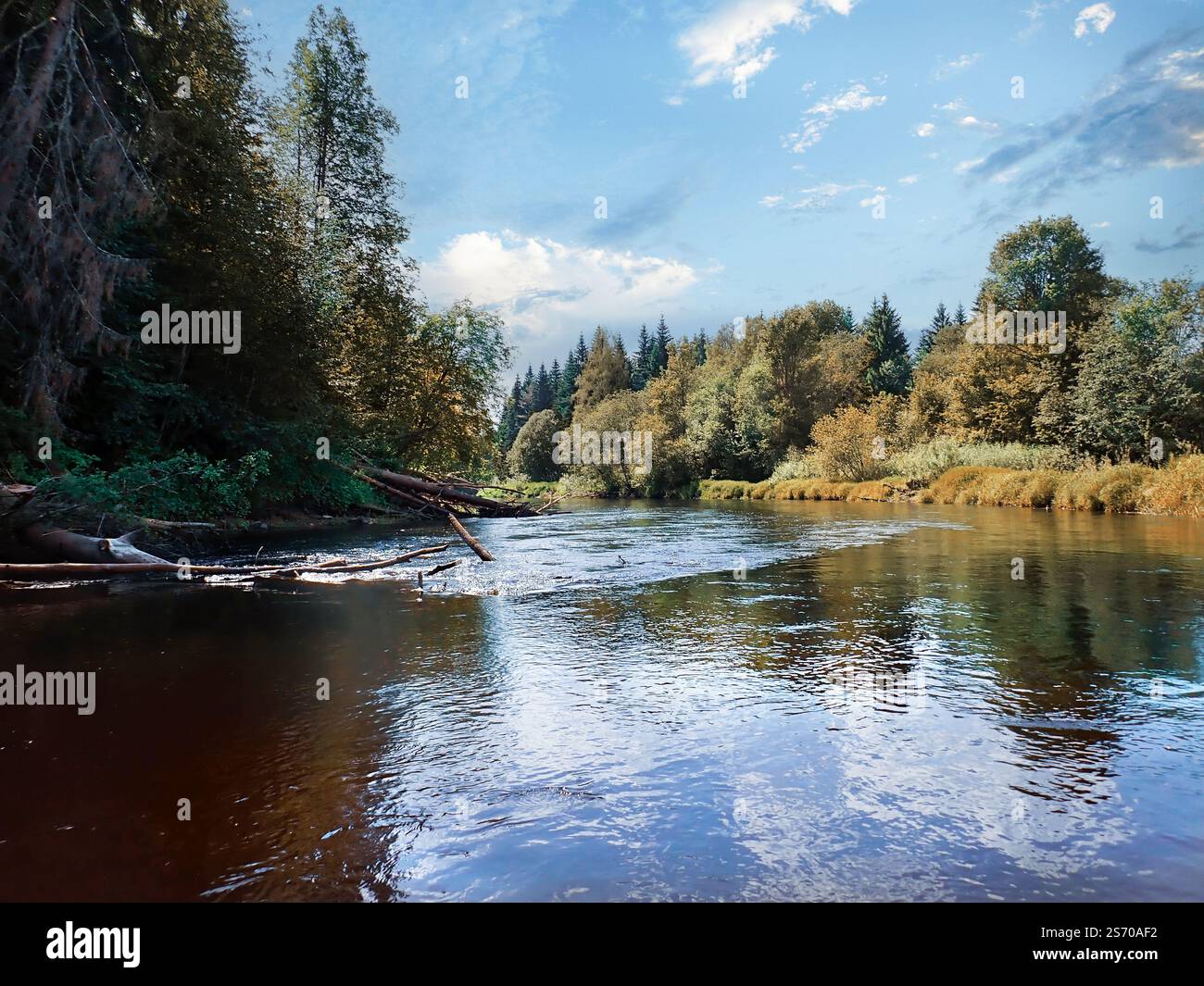 Exploring the Remote Beauty of the Upper Volga River in Russia Stock ...