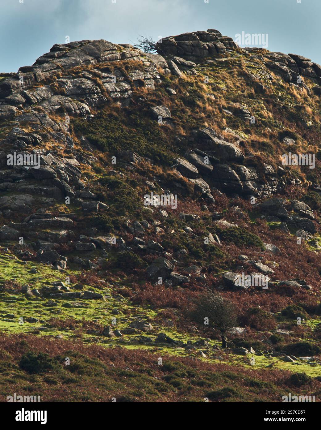 Sharp's Tor, Dartmoor National Park, UK Stock Photo - Alamy