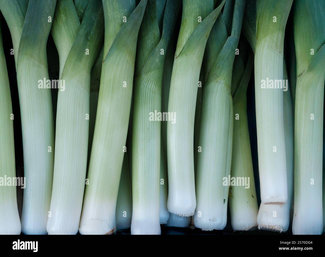 A Background Texture Of Leeks At A Market Stall Stock Photo - Alamy