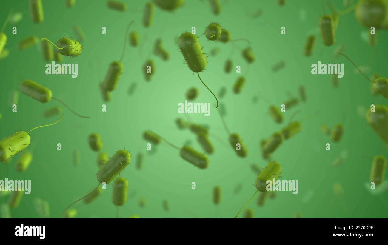 Green Bacteria Cells Close Up Stock Photo - Alamy