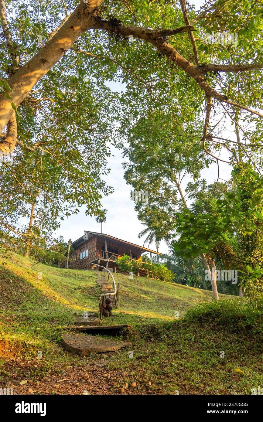 asian huts in rural thailand Stock Photo - Alamy