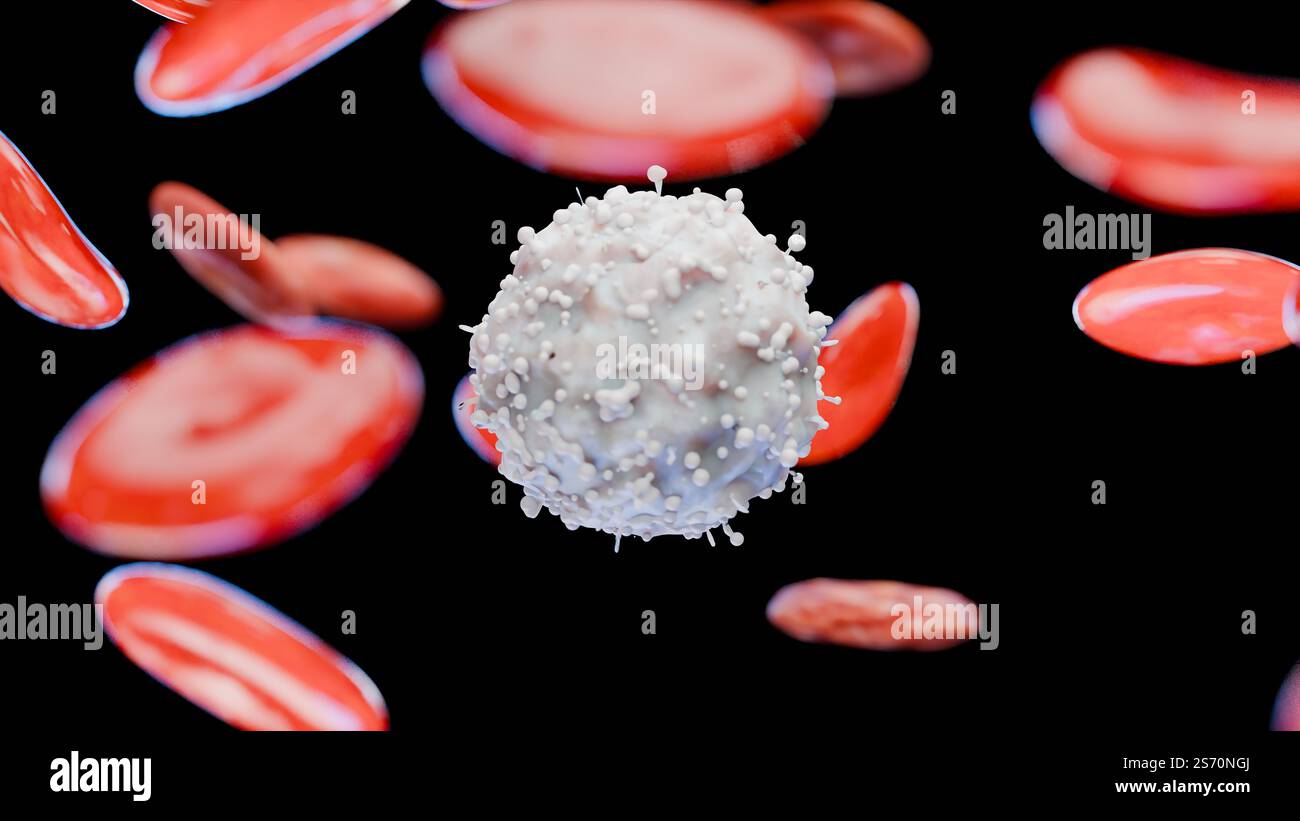 Neutrophiles type Leukocyte cell, phagocytosis, white blood cells in ...