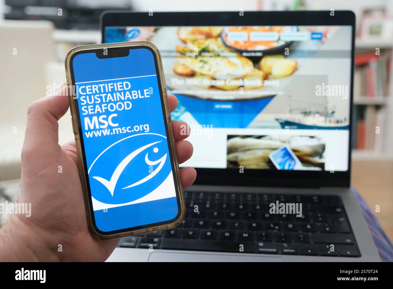 Meeresskosysteme hi-res stock photography and images - Alamy