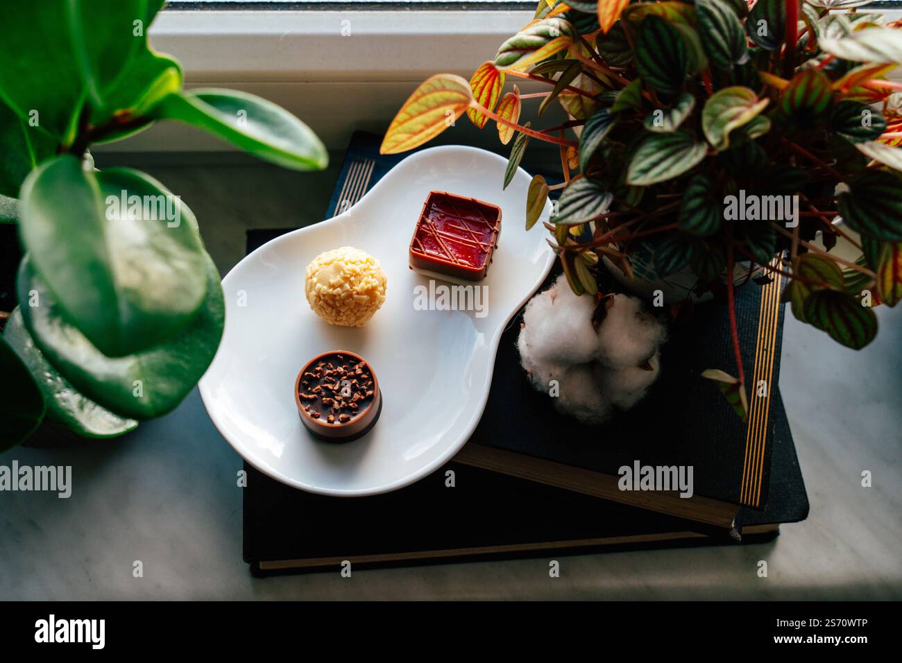 A beautiful collection of small desserts sits on a modern plate next to ...
