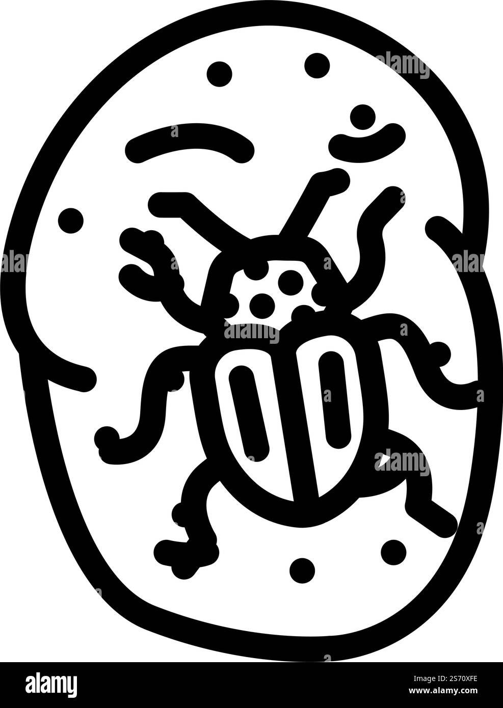 colorado beetle line icon vector. colorado beetle sign. isolated ...