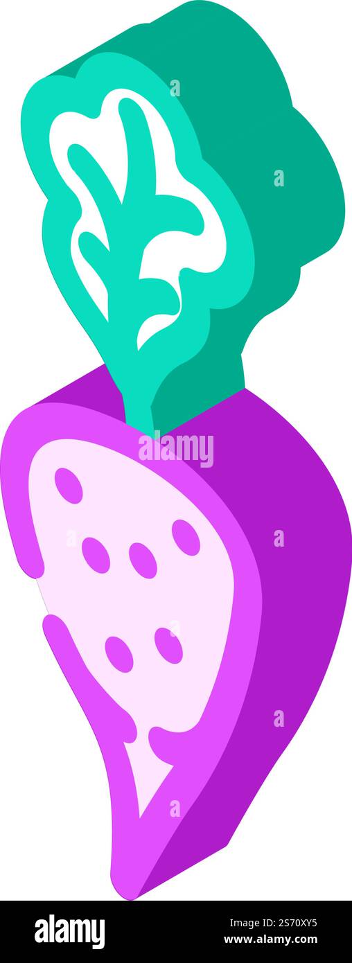purple radish isometric icon vector. purple radish sign. isolated ...