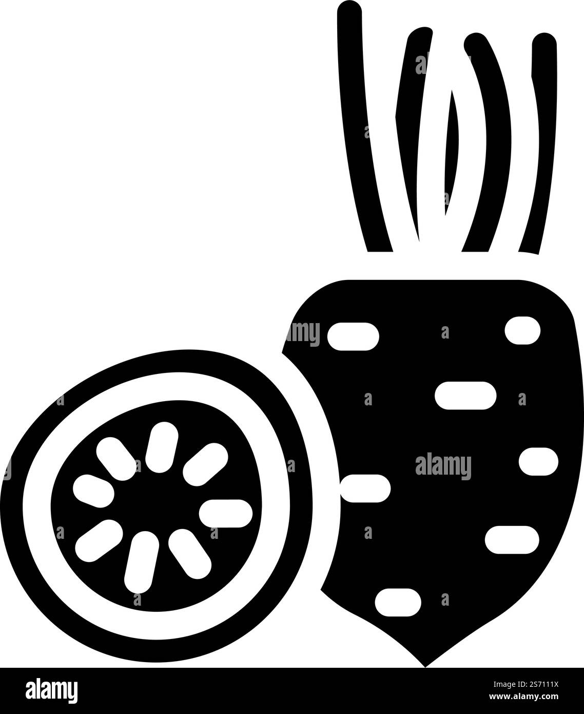 watermelon radish glyph icon vector. watermelon radish sign. isolated ...