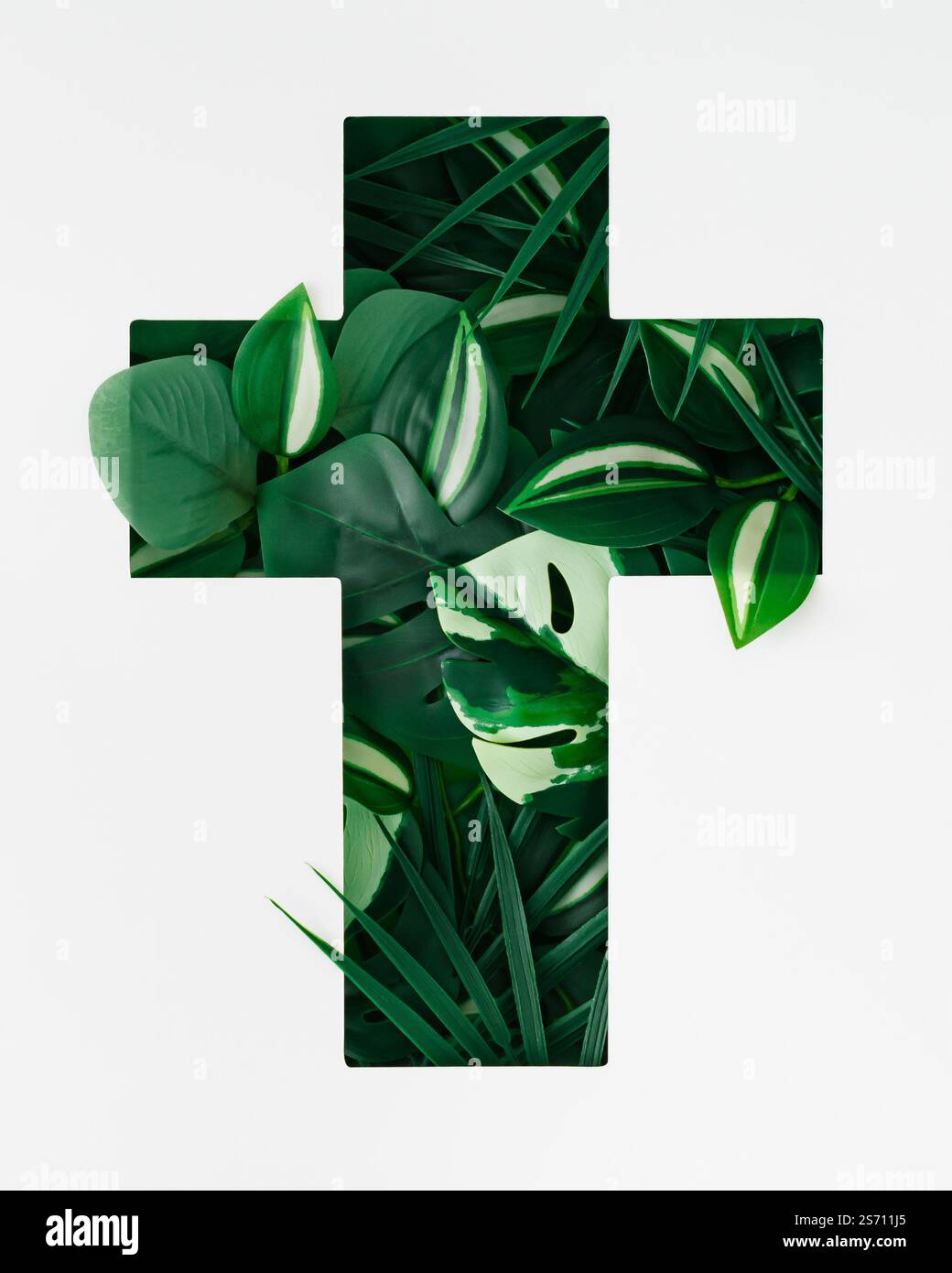 Spring and summer composition with green leaves visible through a Cross ...