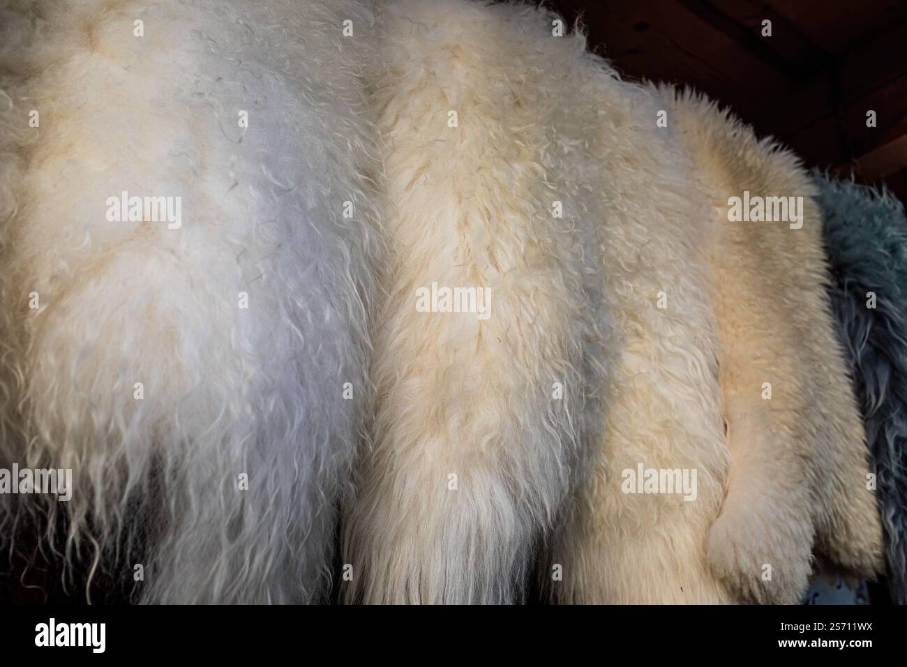 Hanging up fur coat hi-res stock photography and images - Alamy