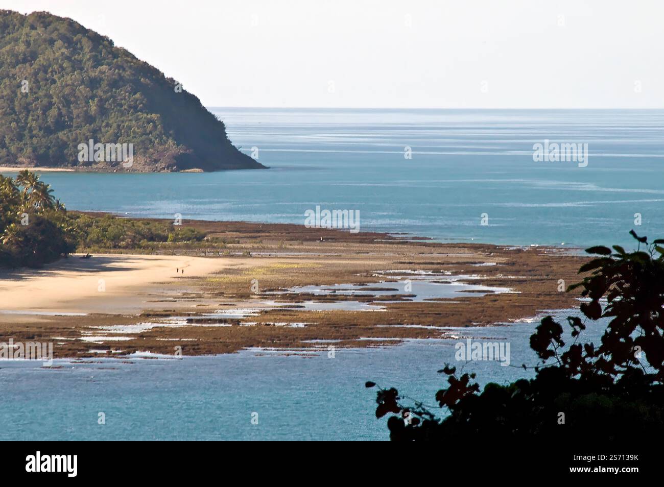 Fringing coral reef meeting weith the aancient rainforest close to ...