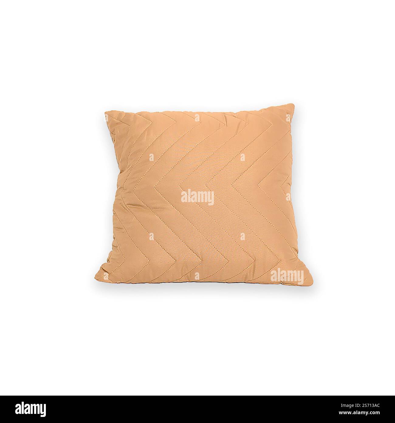 This is a Neutral Decorative Pillow featuring a unique and appealing ...