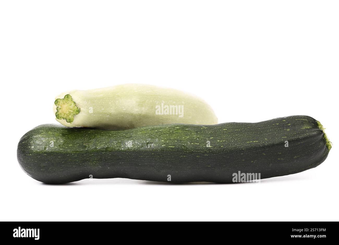White and green vegetable marrow. White background Stock Photo - Alamy