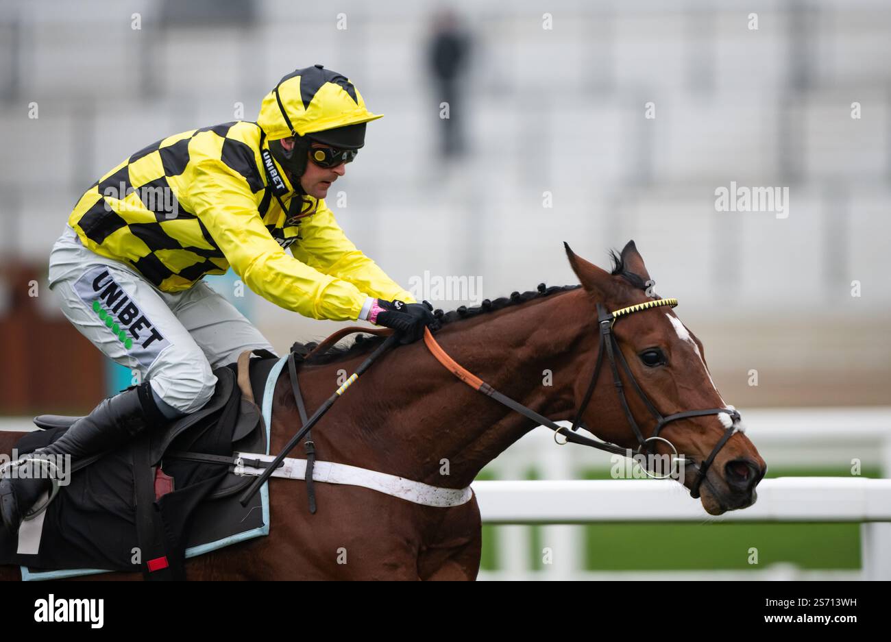 Lulamba ascot hi-res stock photography and images - Alamy