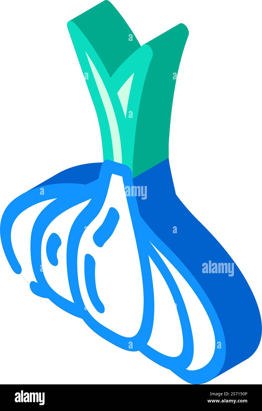 garlic isometric icon vector. garlic sign. isolated symbol illustration ...