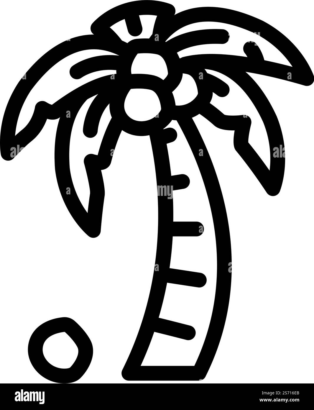 palm tree coconut line icon vector. palm tree coconut sign. isolated ...