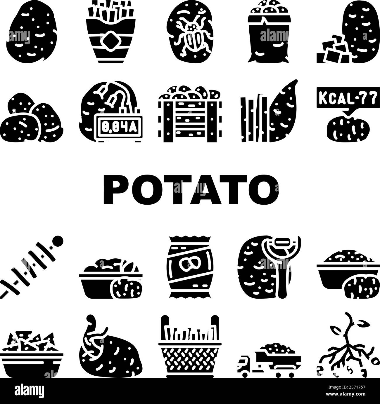 potato vegetable food fresh icons set vector. raw organic plant, sweet ...