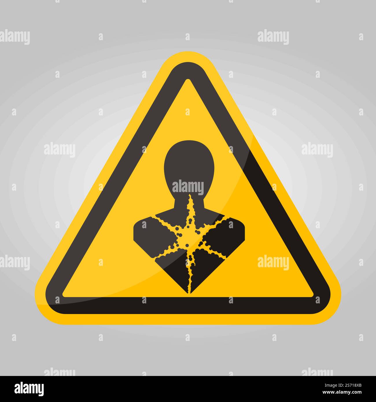 Health Hazard Symbol Label,Longer Term Health Hazard,GHS Hazard ...