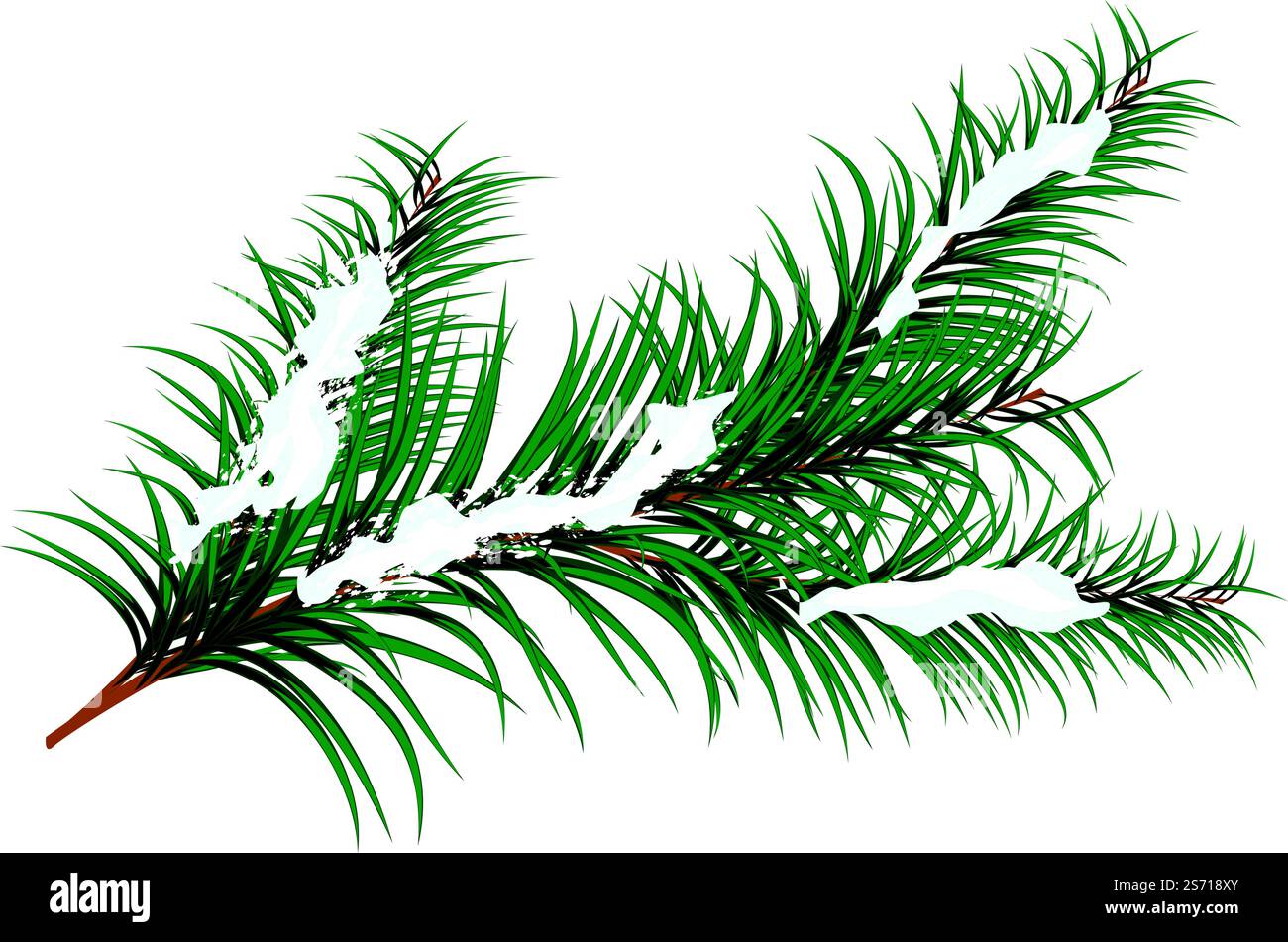 Christmas (New Year) element of fir branch. Vector illustration Stock ...